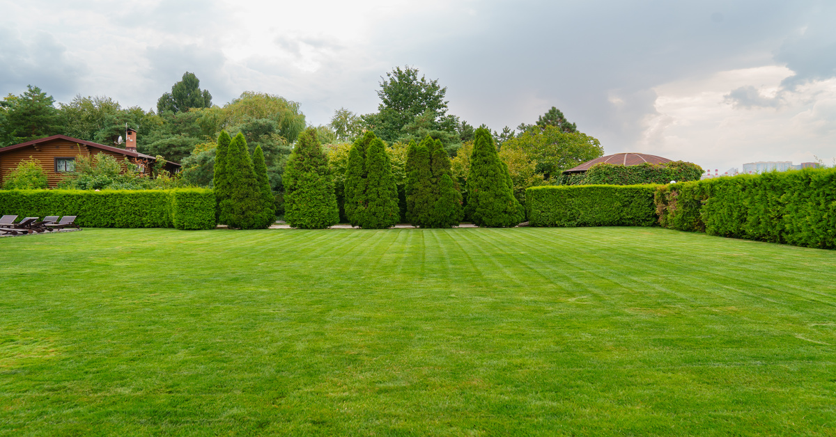 Common Lawn Drainage Problems and How To Solve Them - Valley Landscaping